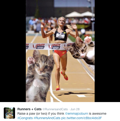 10 Great Photos from Runners + Cats - Women's Running