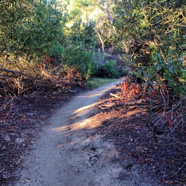 Don't Be "That" Runner On A Winding Trail - Women's Running