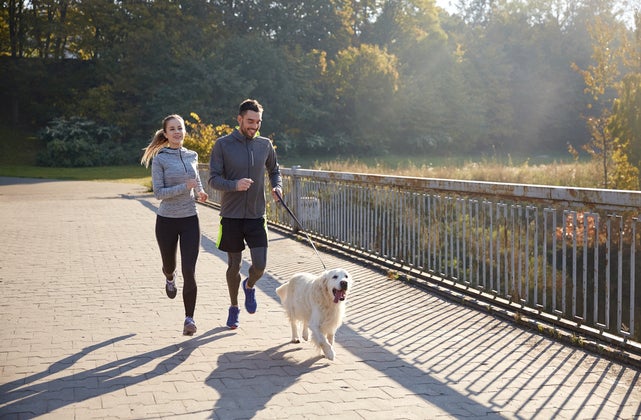 8 Facts (And Adorable Photos) About Running With Your Dog