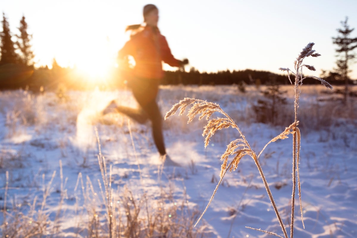 Writing and Running: Emily Layden Seeks Clarity in the Chaos