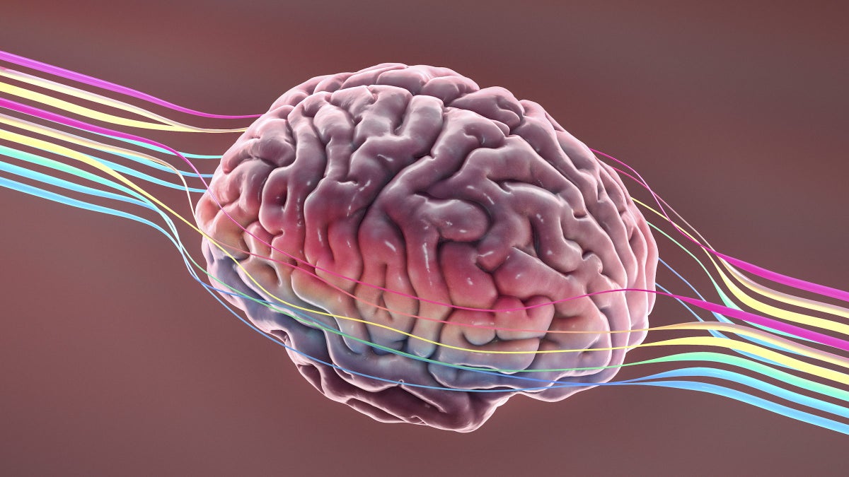 Exercise And Brain Health: Brain Benefits of Running - Women's Running