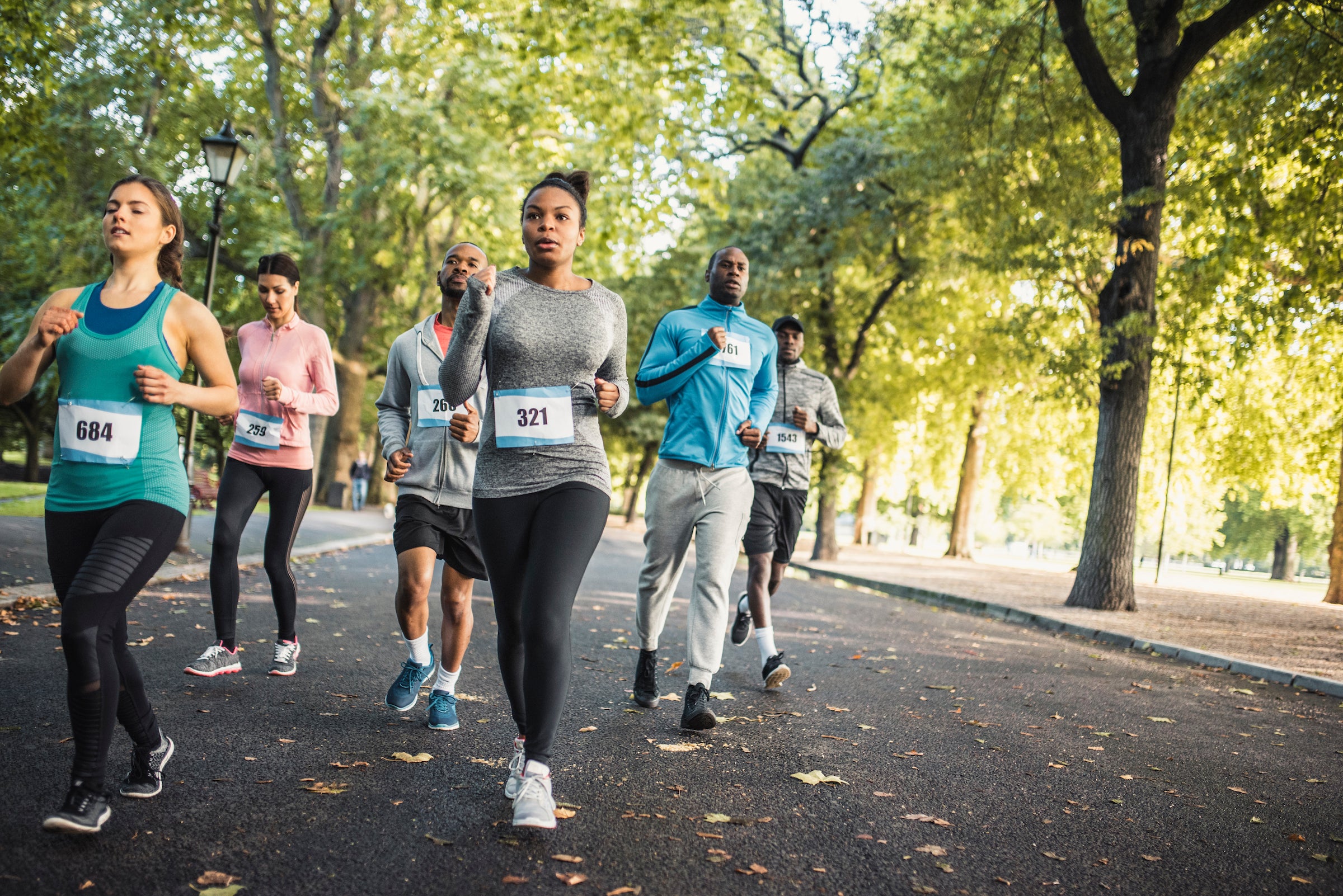 Turkey Trots and Other November Races